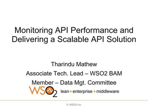 Monitoring Api Performance Ppt
