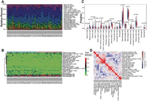 Results Of Immunoinfiltration Analysis Showing The Immune Cells Download Scientific Diagram