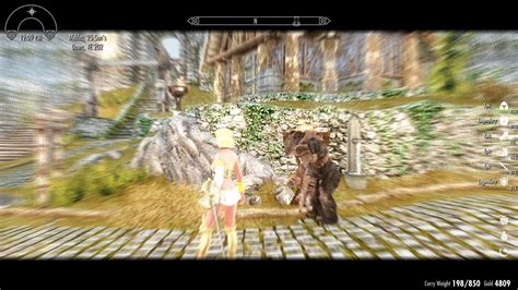 Radial Blur And Brightening When I Zone Into Whiterunriften Skyrim Technical Support Loverslab