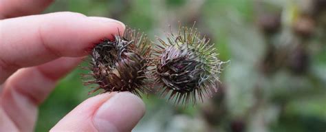 What Are Hook And Loop As Well As Reclosable Fasteners Elevated Industrial Solutions