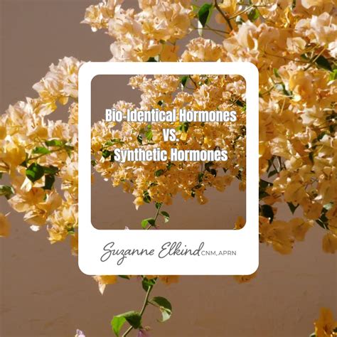 Understand The Difference Between Bio Identical Hormones And Synthetic Hormones Suzanne Elkind