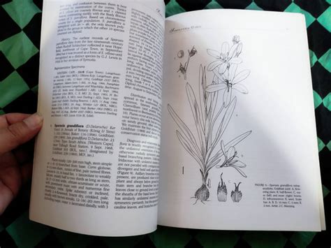 Yahooオークション スパラキシスのモノグラフ Systematics And Biol