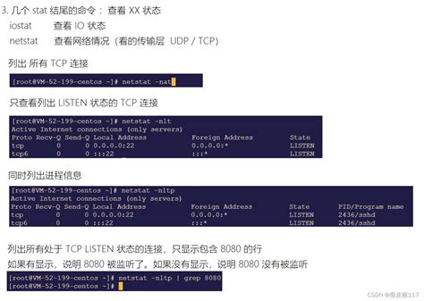 Linux的基本使用（二）文件操作命令rm Rf 后面加 Csdn博客