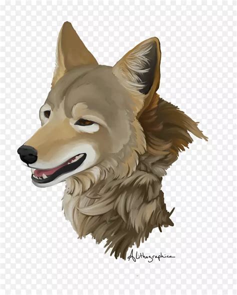 索诺兰沙漠干燥犬骆驼郊狼 亚利桑那沙漠PNG图片素材下载 图片编号3995549 PNG素材网