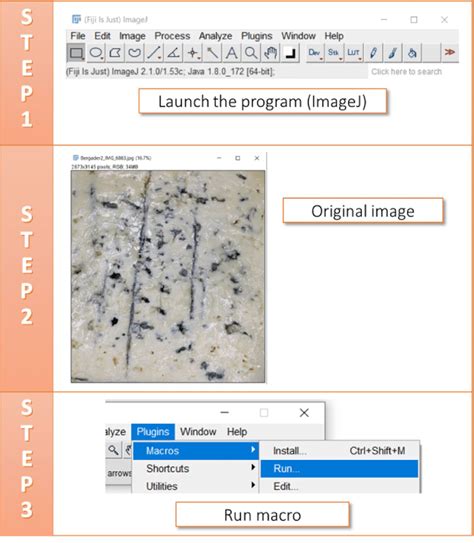 Steps Of Launching Macro Download Scientific Diagram