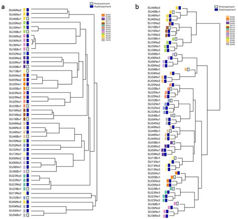 Hierarchical Clustering Dendrograms Of Methylation And Mutational Data
