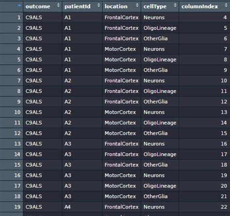 Antonios Portfolio Parallelization With R
