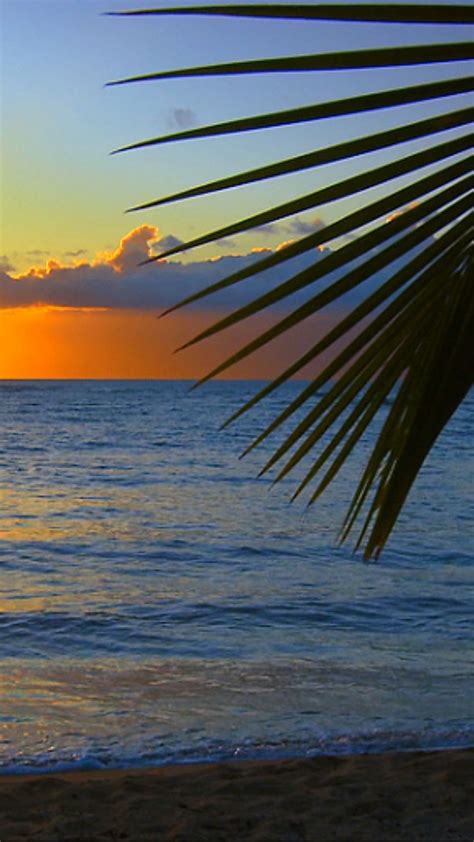 Dev Qa On Linkedin 3l9cq4hepoeg3fl