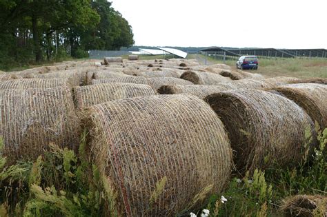Take Vegetation Succession Into Account When Planning Solar Parks Or Problems Could Grow Says