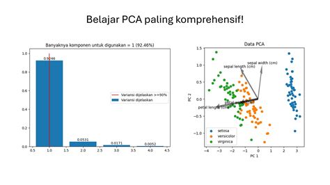 Pengantar Principal Component Analysis🦋