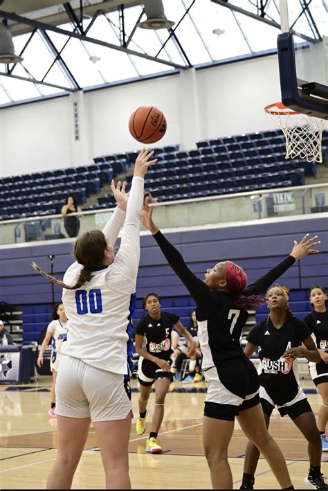 Haley Collins Power Forward Center Parkland College Nil Profile