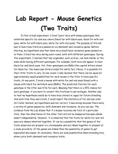 Mouse Genetics Lab Dominant Recessive Traits