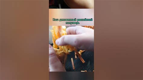 Чудесные птицы - заебушки) - YouTube