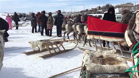 Оленеводы на Ямале Youtube