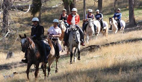 Activities Holmesglen At Eildon