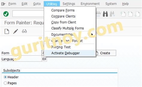 SAP Debug SAP Script The GuritnoY Blog