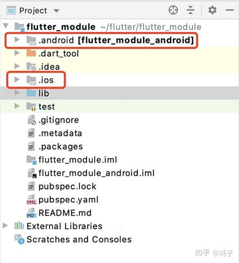flutter基础之混合开发项目集成之ios篇 知乎