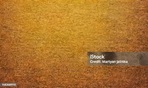 추상적인 벽 배경은 당신의 디자인을 위한 공간을 가진 곡물 금 색깔 짜임새 0명에 대한 스톡 벡터 아트 및 기타 이미지 0명 거친 건축 Istock