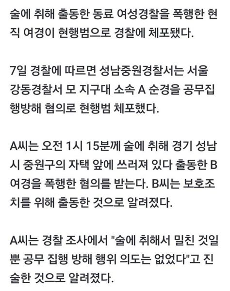 술 취해 동료 여경 때린 여경공무집행방해 현행범 체포 개9