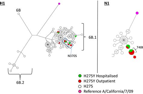 Ha And Na Gene Cluster Analysis Of H1n1 Virus In The 2015 16 Season In Download Scientific