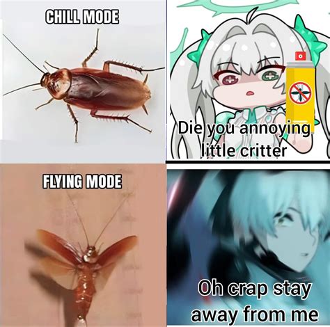 Bug Rpgrmeme