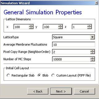Specification Of Basic Cell Sorting Properties In Simulation Wizard Download Scientific Diagram