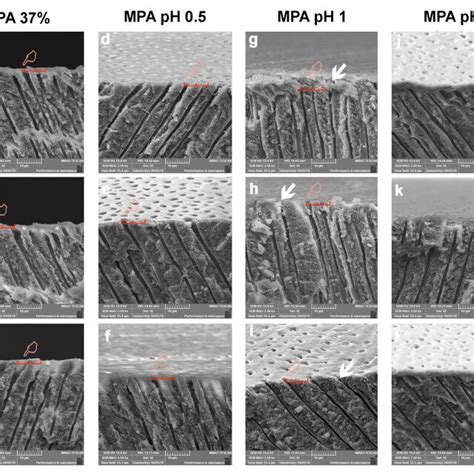 Chemical Structures Of Ortho And Meta Phosphoric Acids Adapted Download Scientific Diagram