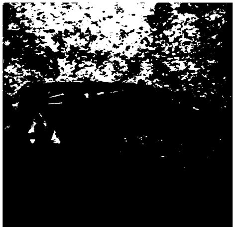 Novel Stereoscopic Rubbing Method Eureka Patsnap