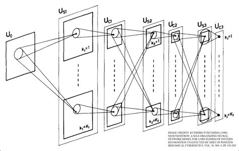 Who Invented Convolutional Neural Networks Lifeboat News The Blog