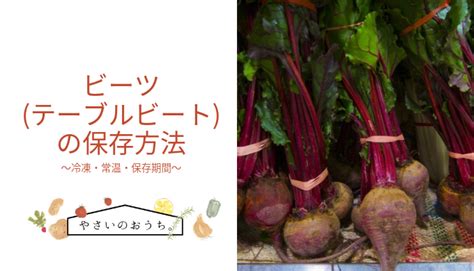 ビーツ（テーブルビート）の保存方法｜冷凍・冷蔵・保存期間と保存食レシピ！ 野菜のおうち。常温と冷凍保存方法解説