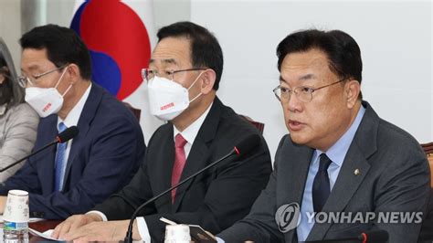 정진석 쌍방울 대북송금 의혹 文정부 대북 뇌물사건 스캔들 나무뉴스
