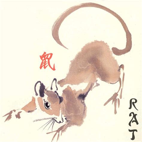 🔮 Signe Astrologique Chinois Le Rat Et Tous Ses Mystères