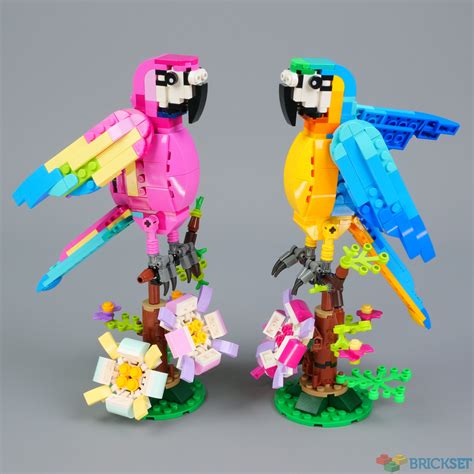 Lego Creator Exotic Pink Parrot Review Brickset