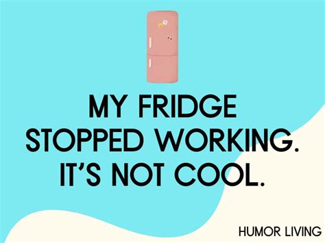 35 Hilarious Fridge Puns To Chill And Laugh Humor Living