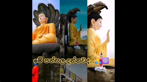 ඉබ්බන් කටුව වැව ලිට්ටුව පිහිටා ඇති🌷🙏 🙏☸️ ආනකටාව පන්සල අනිවරයෙන් යන්න 👣😍 Srilanka