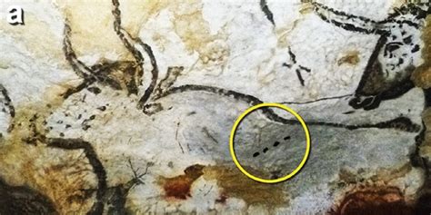 2만년전 동굴 벽화 속 수수께끼 도형은… 테크레시피