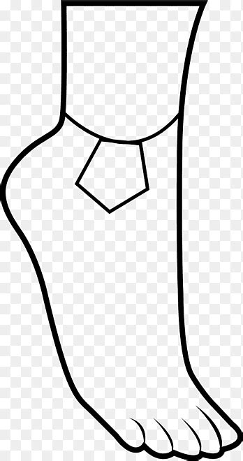 ต้นไม้รองเท้า Png Pngegg