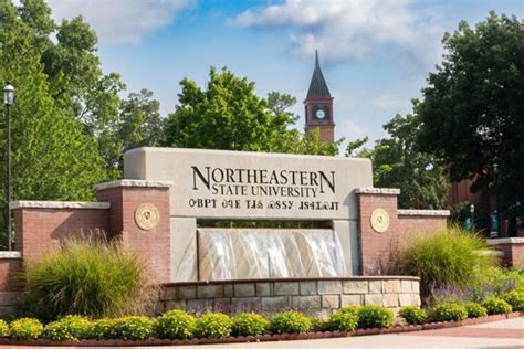 Nsu Now Offering Artificial Intelligence And Data Analytics Degree Newsbreak