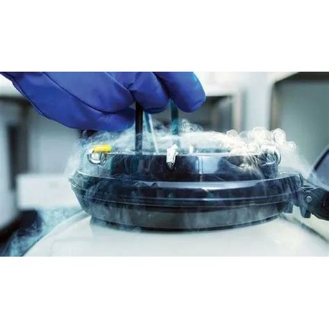 Laboratory Liquid Nitrogen Containers At 612500 Inr In Pune Abhijit