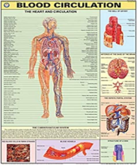 Order Code 22235722121