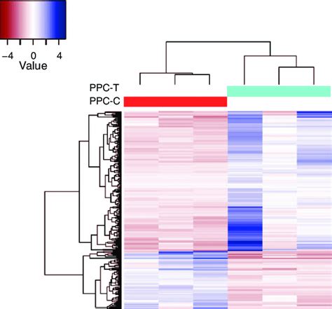 Results Of The Hierarchical Clustering Analysis Note That The Analysis