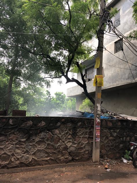 How Many Trees Need To Be Planted To Solve Delhis Air Pollution Smart Air