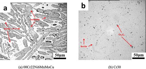 The Microstructure Of The Testing Material Download Scientific Diagram