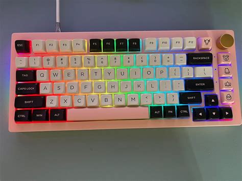 Fully Built Akko 5075s Rgb With Switches And Keycaps Computers And Tech Parts And Accessories