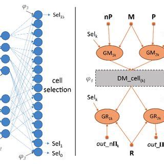 Memory Cell Spikes Pass Through The M Gate When Memorizing And