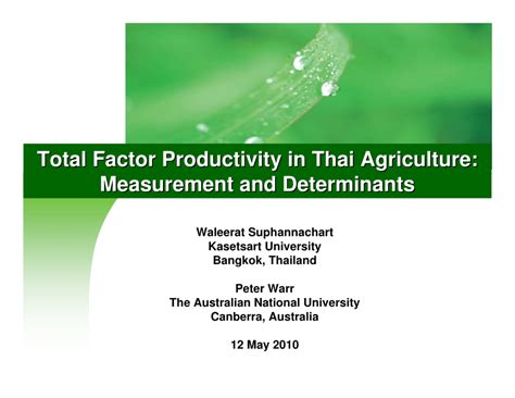 Pdf Total Factor Productivity In Thai Agriculture Measurement And Determinants