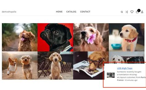 Code Snippets Shopzila Fastest Shopify Theme Features