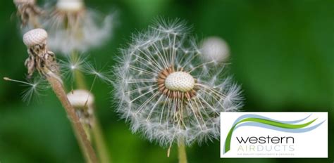 Rajesh Kadam On Linkedin This Is An Exciting Addition To The Ceco Team