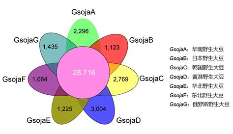诺禾致源nature最新力作：大豆泛基因组 生物探索