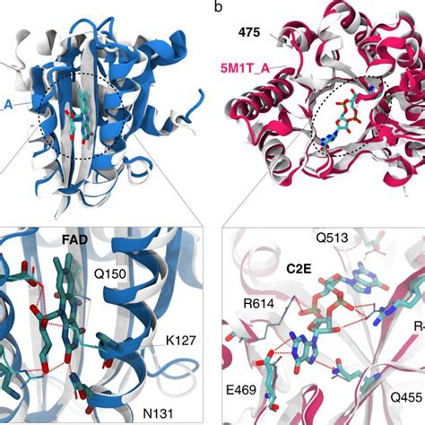 pdf protgpt2 is a deep unsupervised language model for protein design